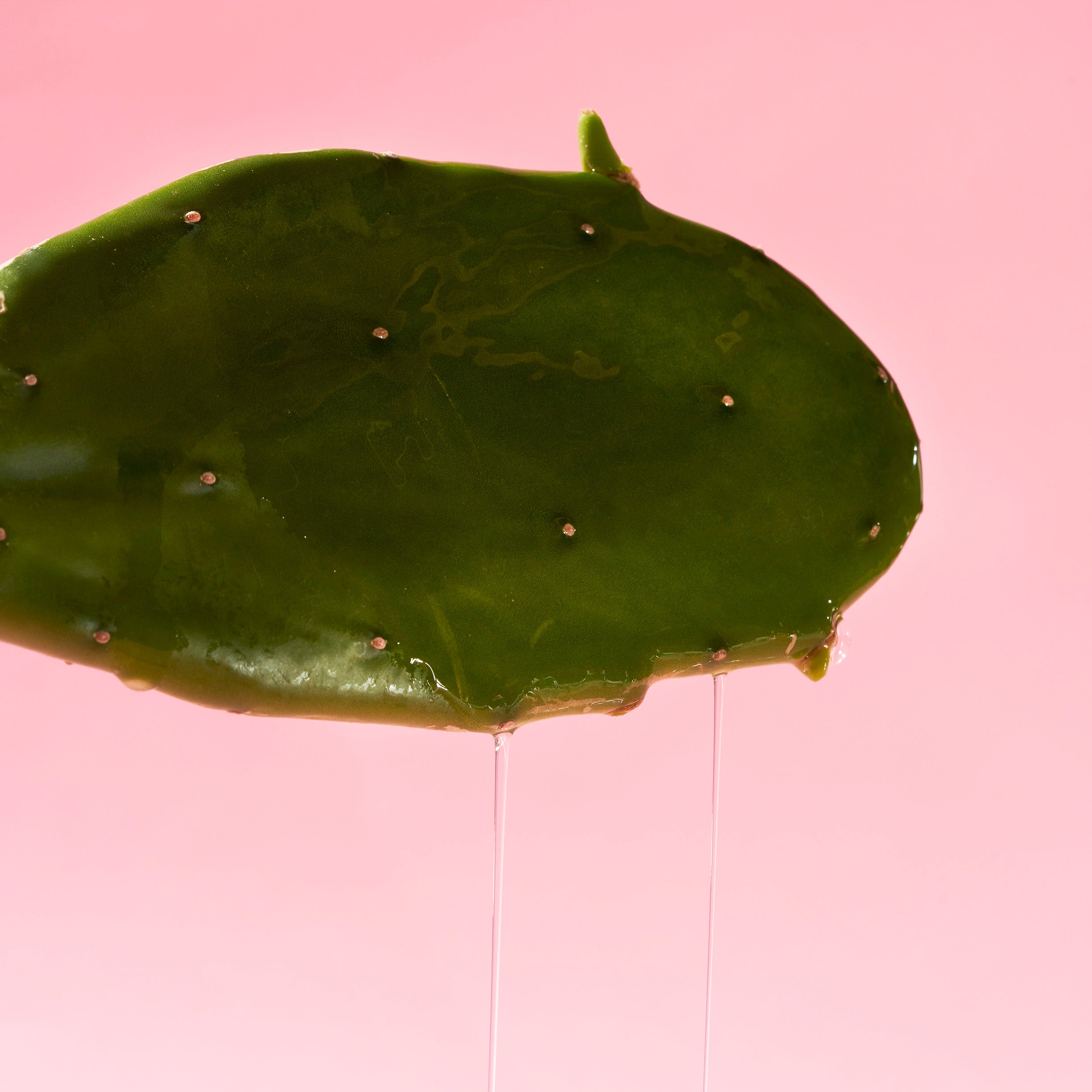 Why Cactus Water Is a Miracle Hydration Ingredient